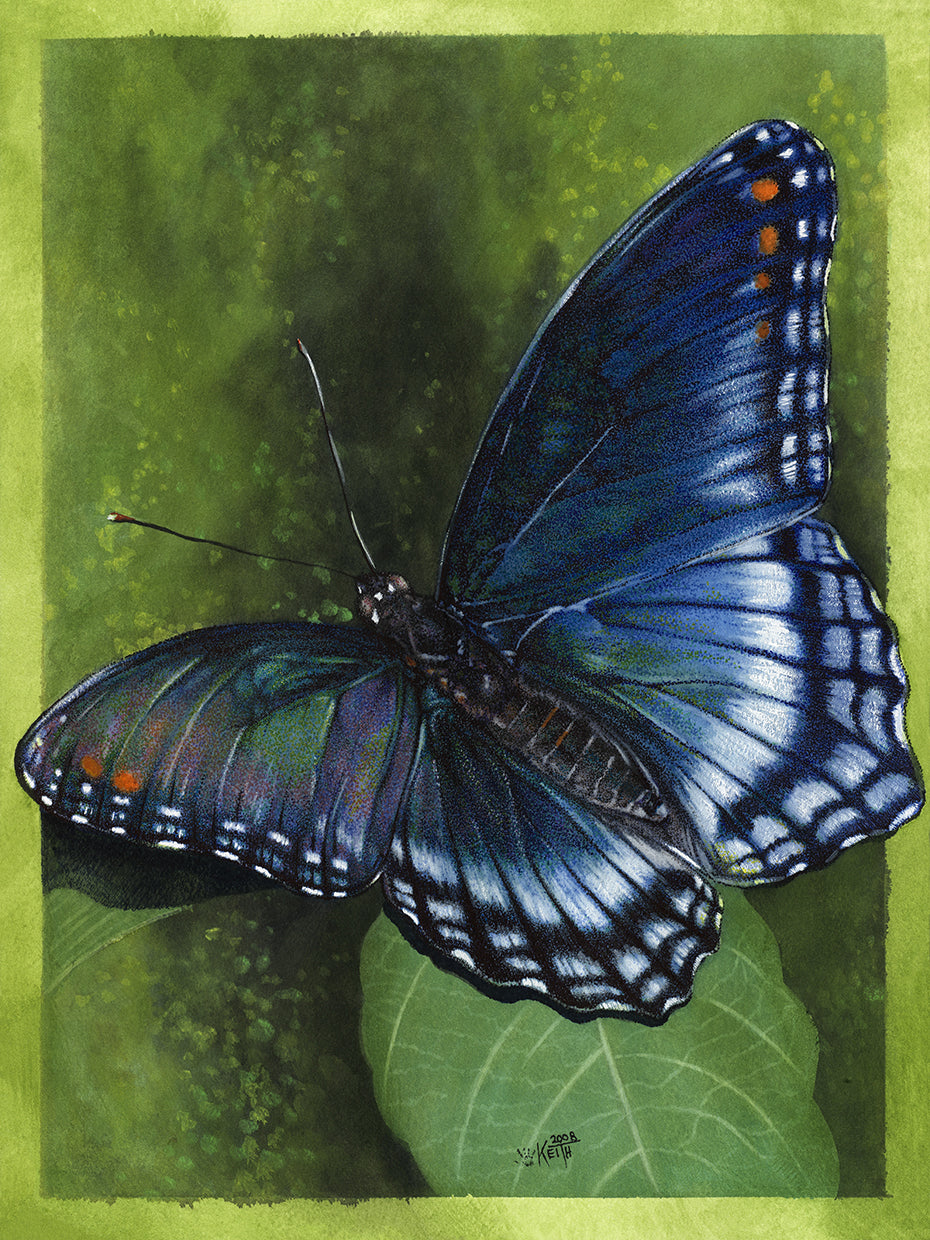 Jewel Tones by Barbara Keith | FineArtCanvas.com – Fineartcanvas.com