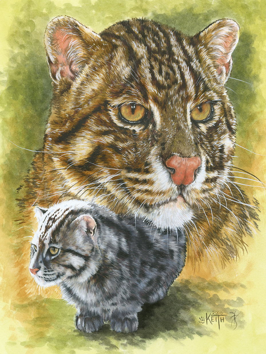 Barbara Keith's Persistent Canvas Prints – Fineartcanvas.com