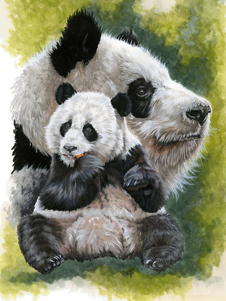 Barbara Keith's Rarified Canvas Art Prints For Sale – Fineartcanvas.com