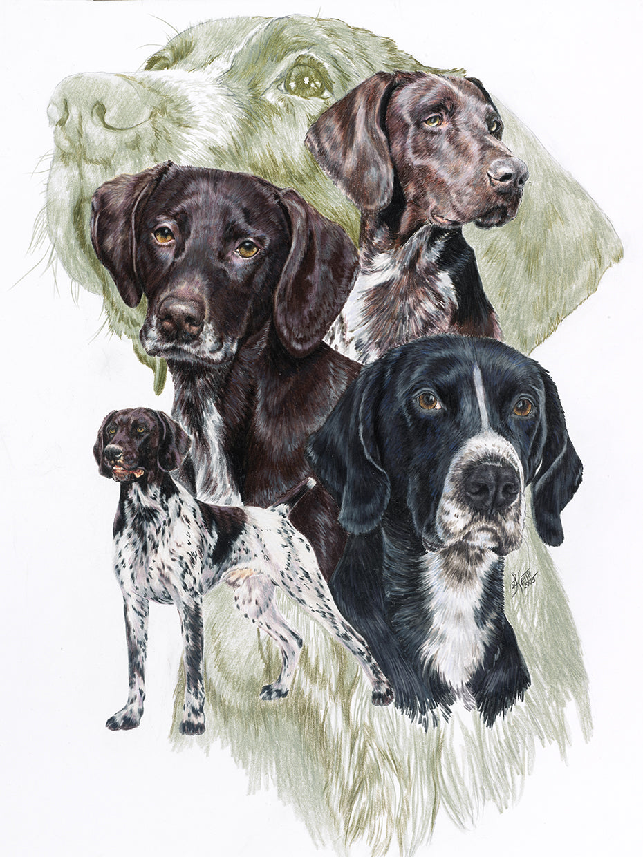 Barbara Keith's German Short Haired Pointer Canvas Art Prints | Fine ...