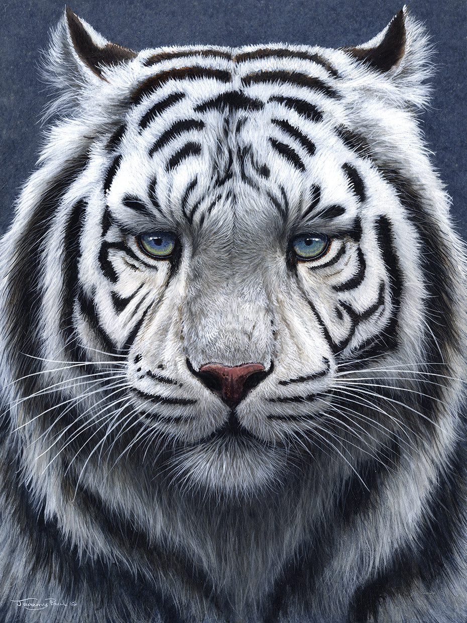 White Tiger Ghost by Jeremy Paul | FineArtCanvas.com – Fineartcanvas.com
