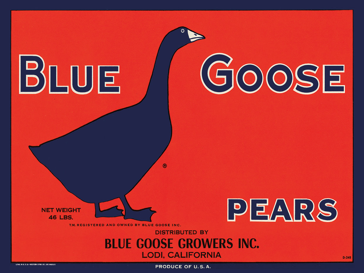 Blue Goose Pears Wall Art by Print Collection | Fine Art Canvas