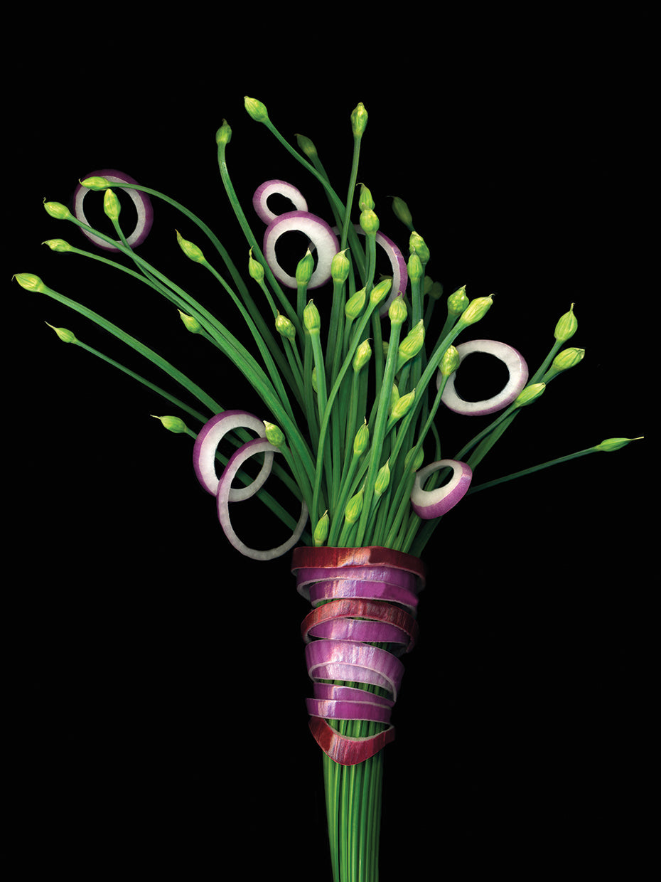 Susan S. Barmon's Chive Blossoms & Red Onion Canvas Art Prints | Fine ...