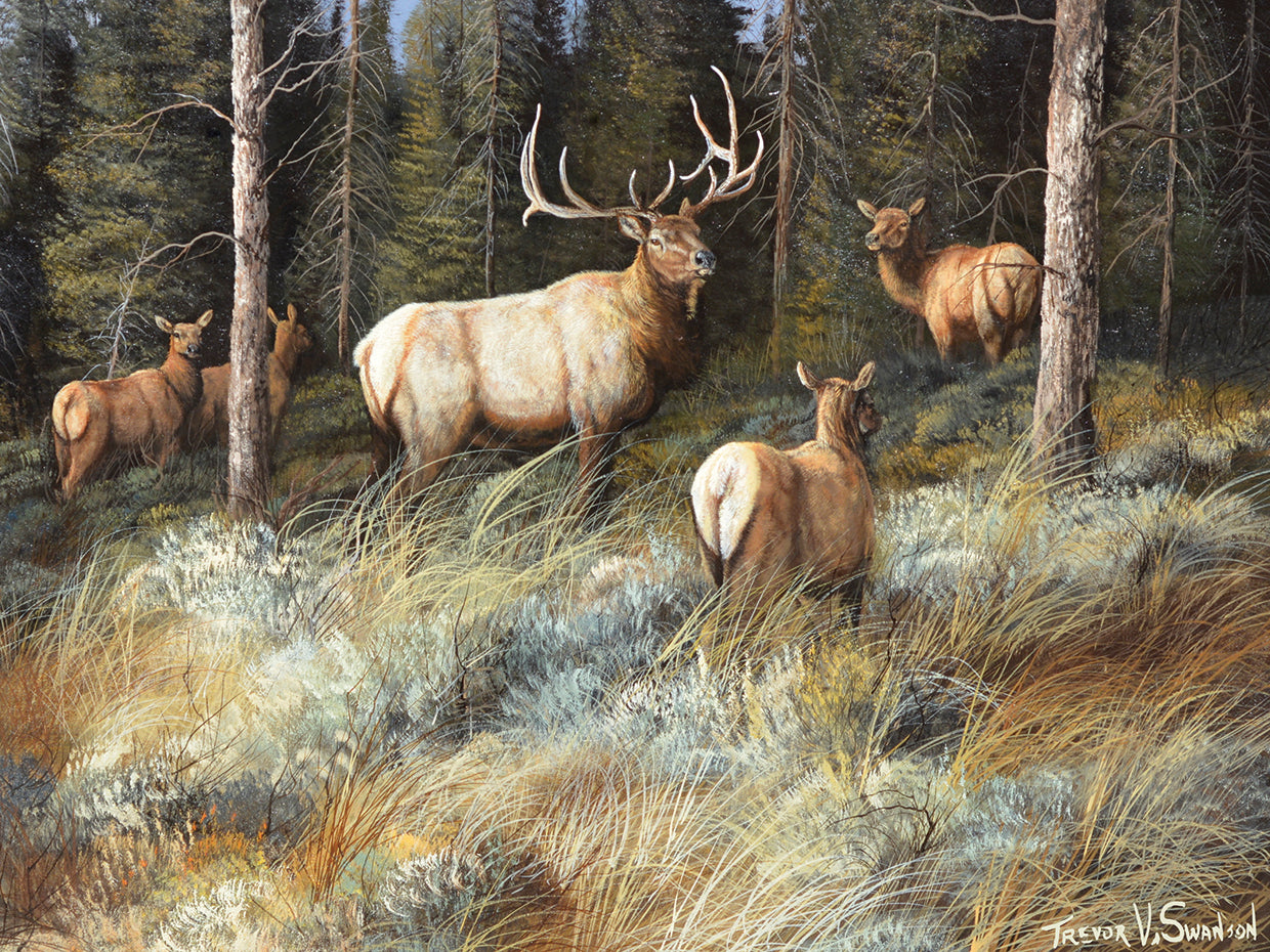 Moving In To Cover Wall Art by Trevor V. Swanson | Fine Art Canvas