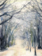 DP Gallery's Silver Snow Park Path Canvas Art Prints | Fine Art Canvas