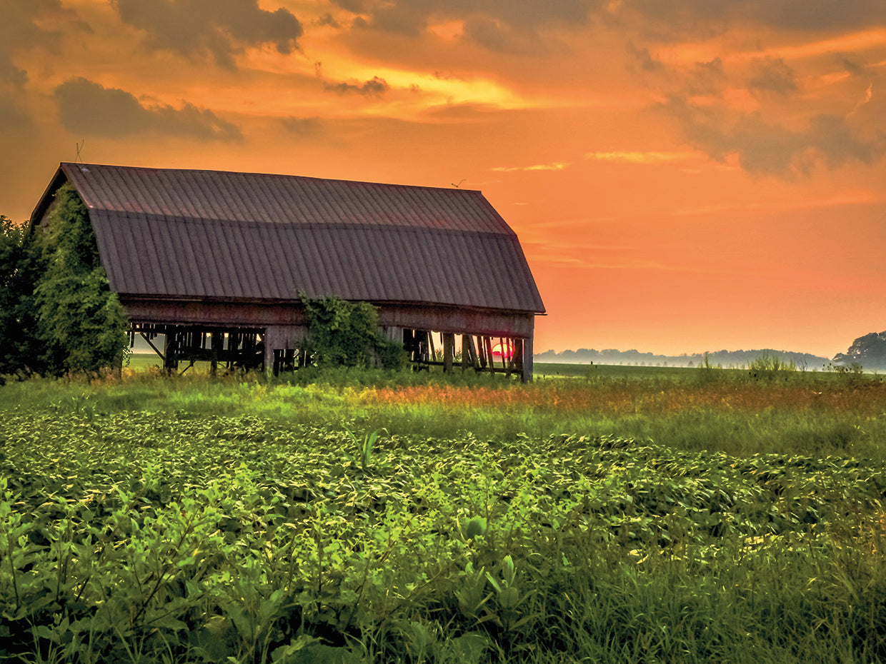 DP Gallery's Rustic Barn Sunset Canvas Art Prints | Fine Art Canvas ...