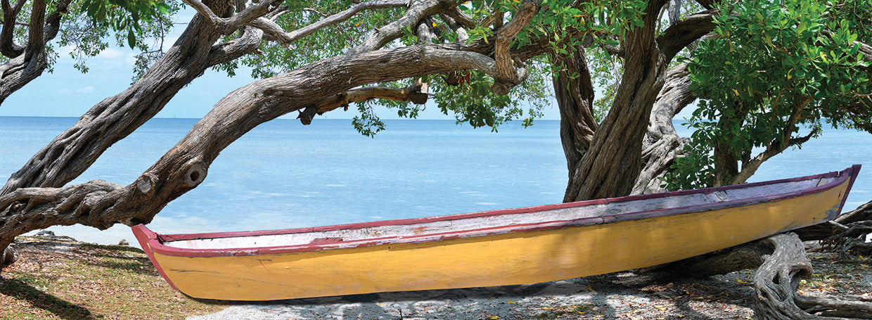 Yellow Bird Boat by Steve Vaughn | FineArtCanvas.com – Fineartcanvas.com