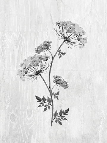 Blue Misty Woods by Conrad Knutsen | FineArtCanvas.com – Fineartcanvas.com