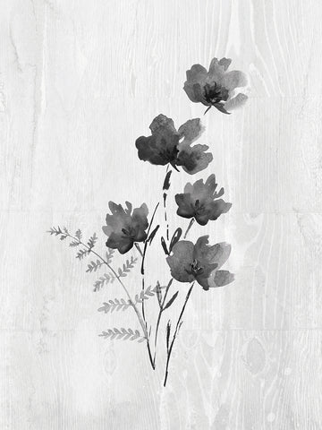 Blue Misty Woods by Conrad Knutsen | FineArtCanvas.com – Fineartcanvas.com