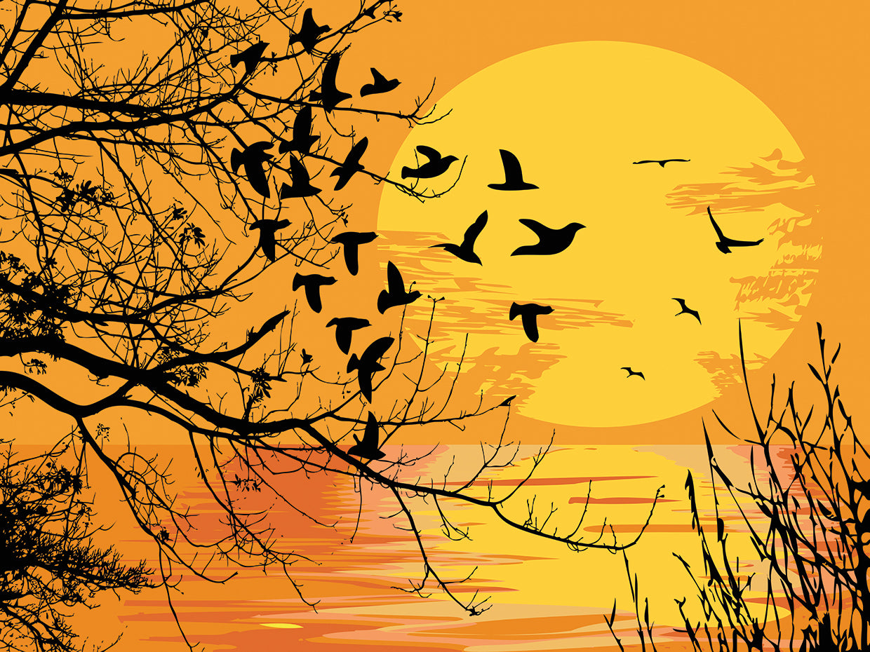 DP Gallery's Sunset Pond Flyers Canvas Art Prints | Fine Art Canvas ...