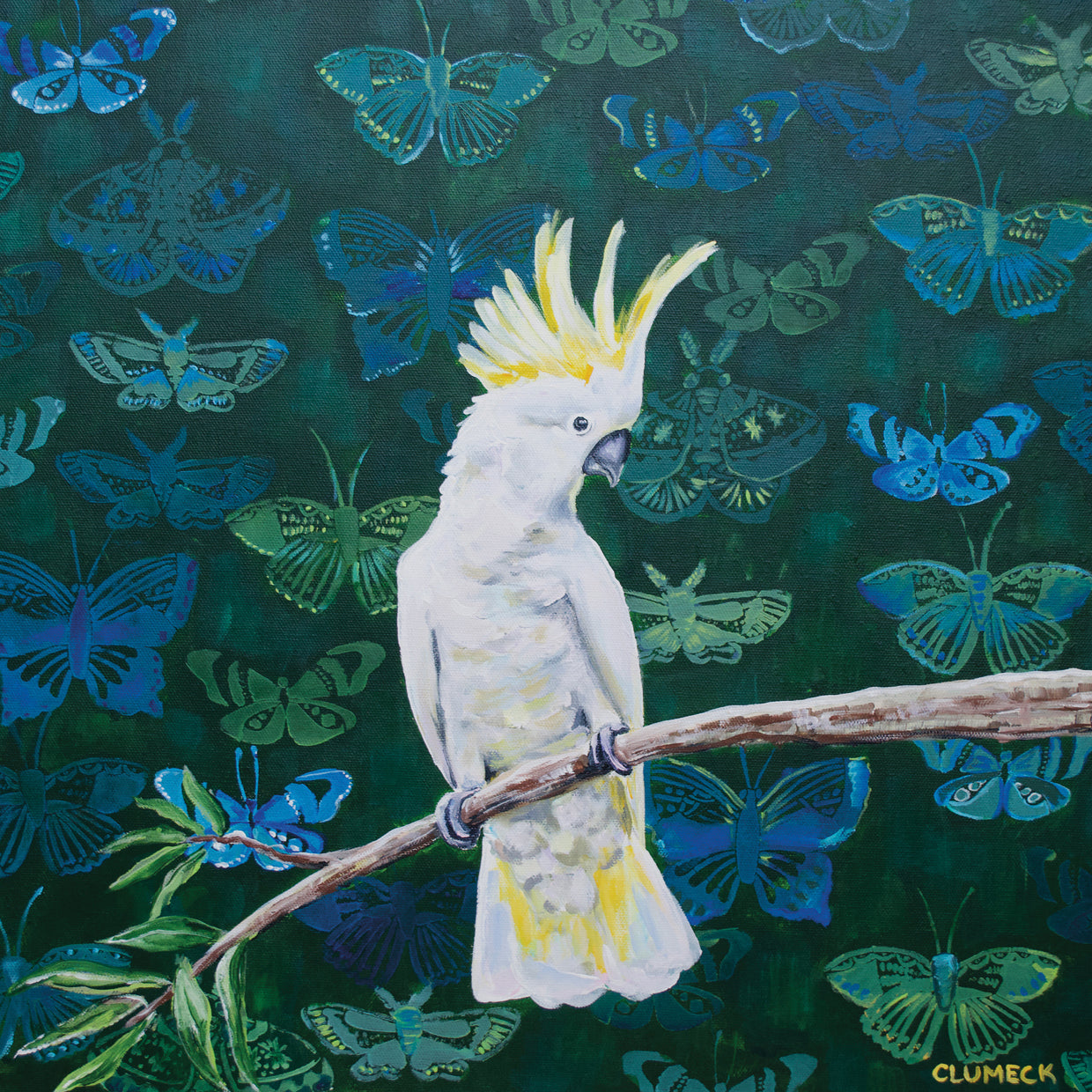 Alana Clumeck's Yellow Crested Canvas Art Prints | Fine Art Canvas ...