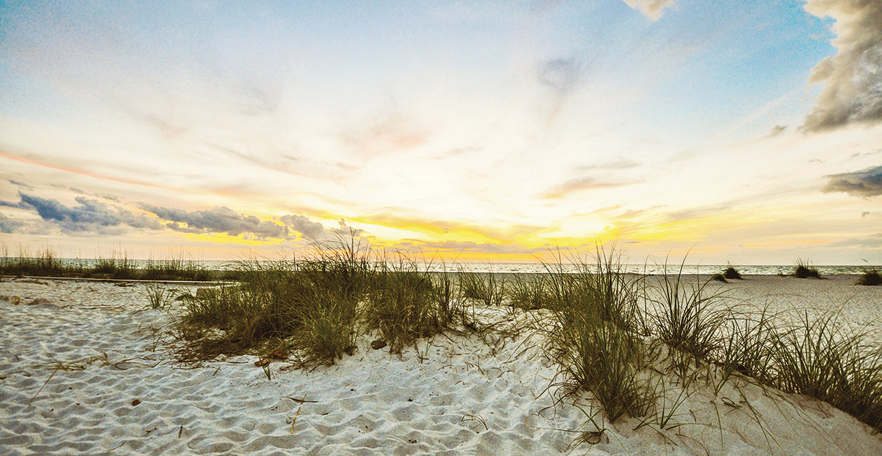 Bill Carson Photography's Sunset Beach Canvas Art Prints | Fine Art Canvas
