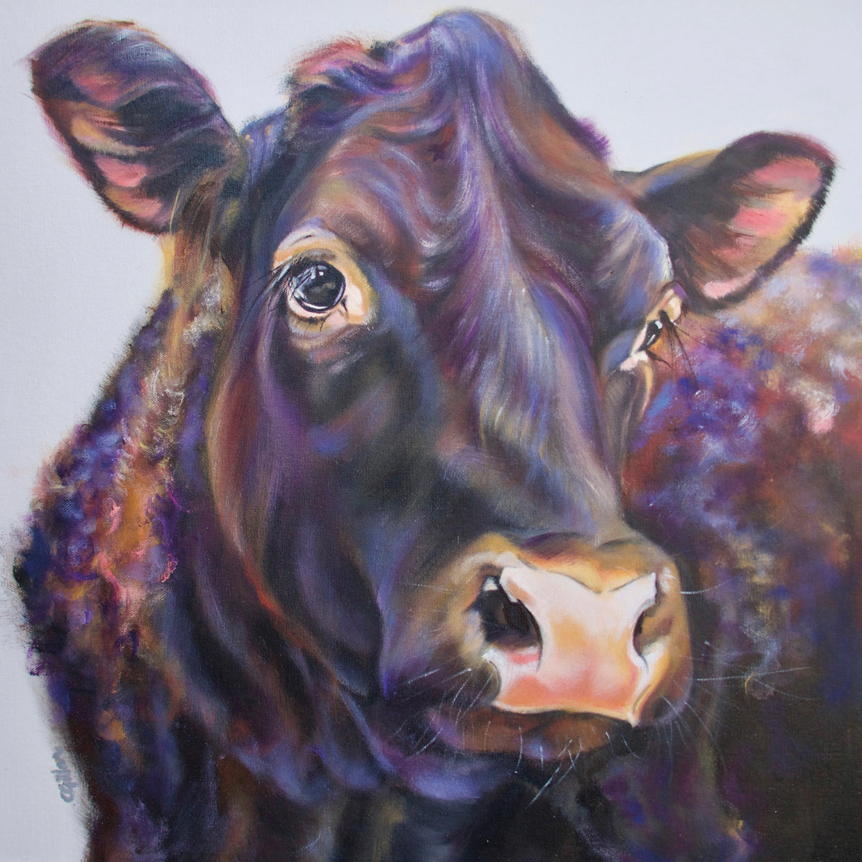 Carol Gillan's Fitzpatrick Canvas Art Prints | Fine Art Canvas