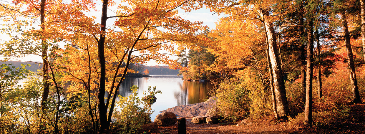 Panoramic Images's Upstate Lake Colors Canvas Art Prints | Fine Art ...