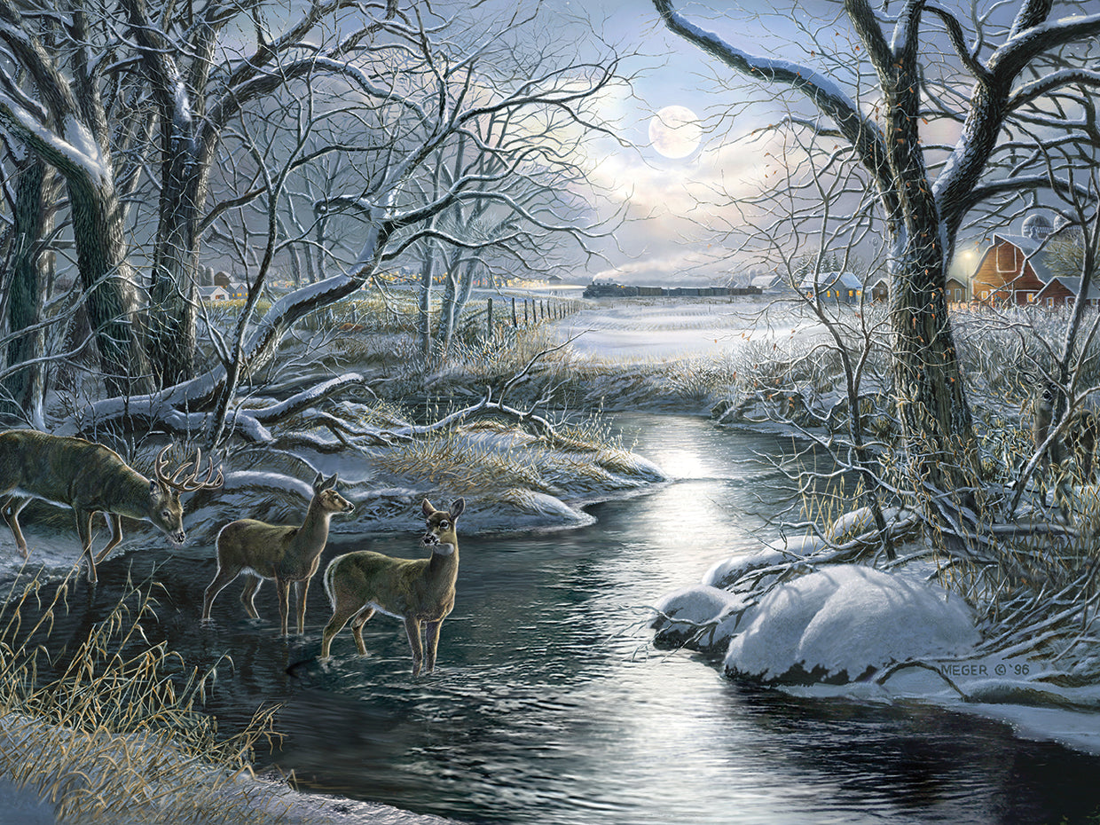 James Meger's A Silent Night Canvas Art Prints | Fine Art Canvas ...