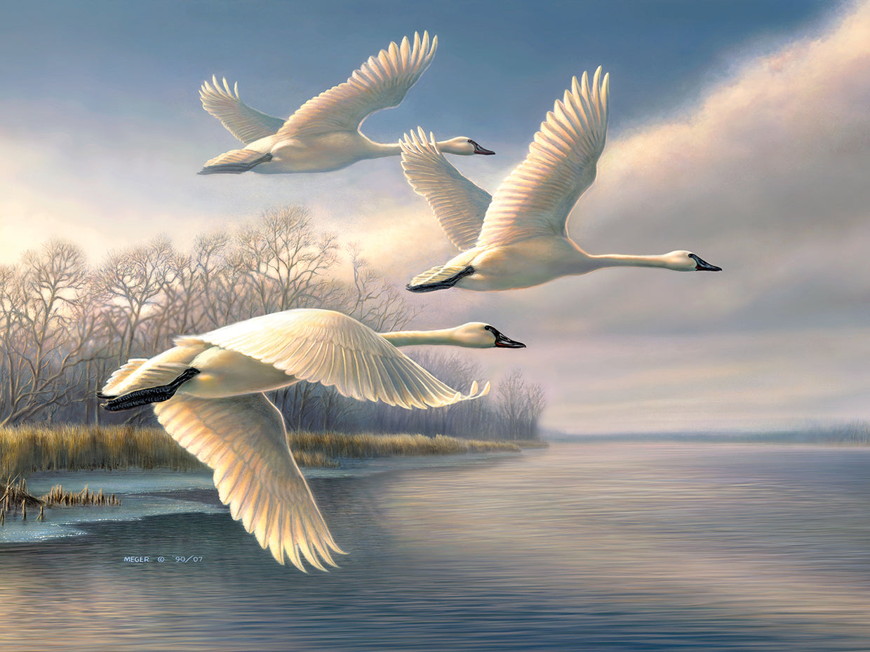 James Meger's Holy Night Canvas Art Prints | Fine Art Canvas ...