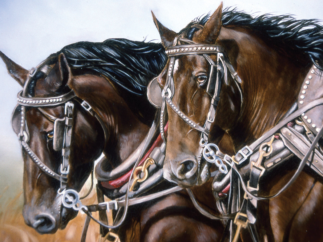 Victoria Schultz's Horse Team Canvas Art Prints | Fine Art Canvas