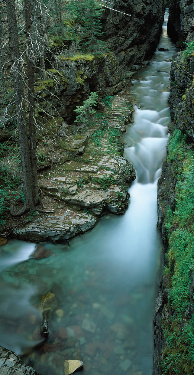 Panoramic Images's Mt Timpanogos Waterfall Canvas Art Prints | Fine Art ...