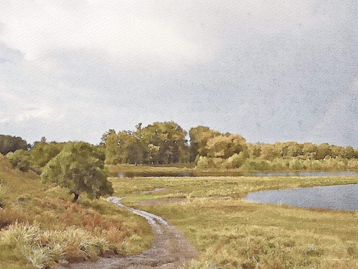 Susan Ball's By the Pond Canvas Art Prints | Fine Art Canvas