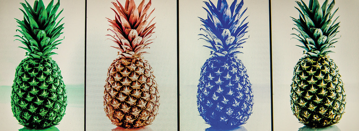 Bill Carson Photography's Pineapples Canvas Art Prints | Fine Art Canvas