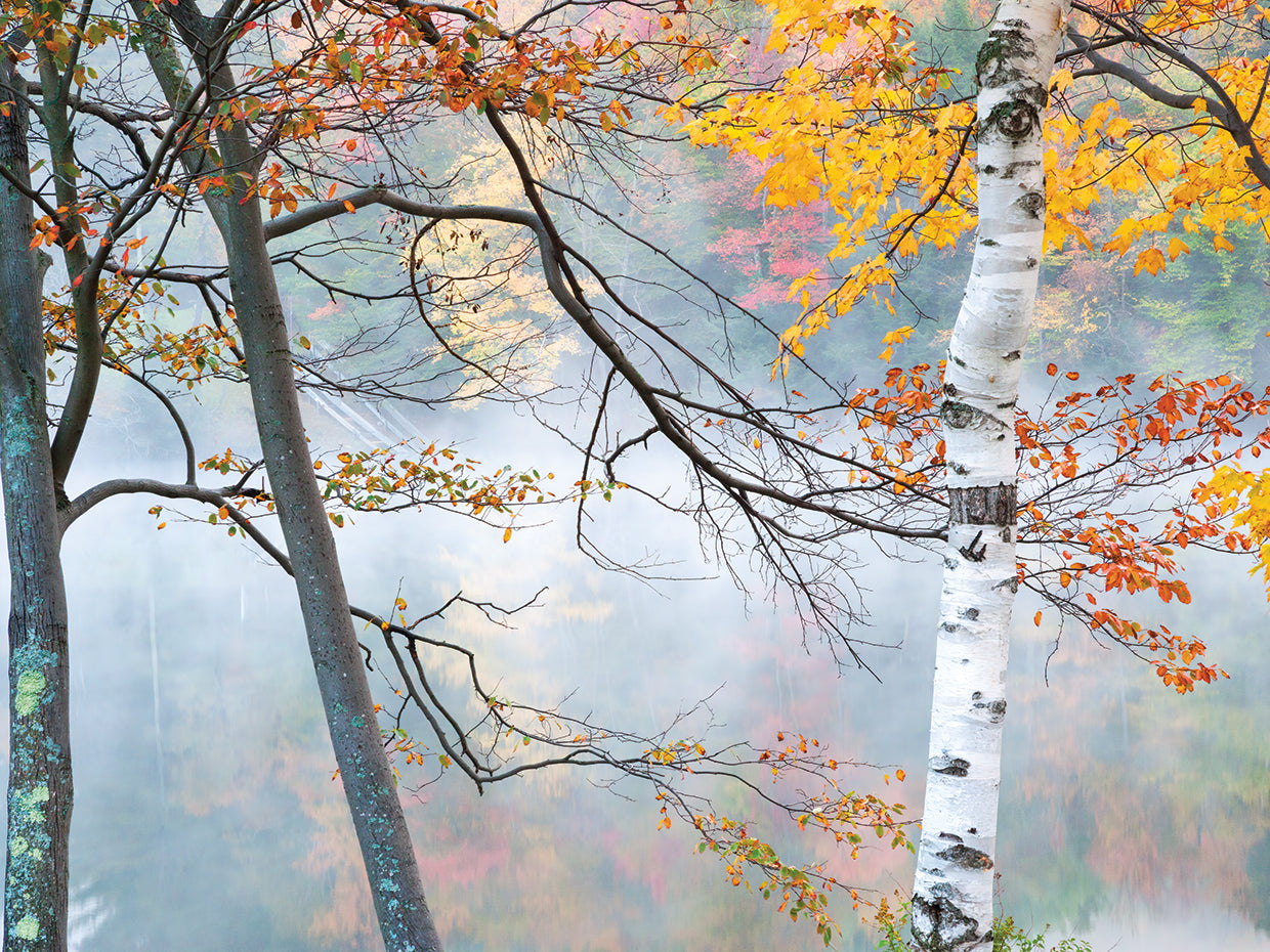 Robin Constable Hanson's Misty Fall Canvas Art Prints | Fine Art Canvas