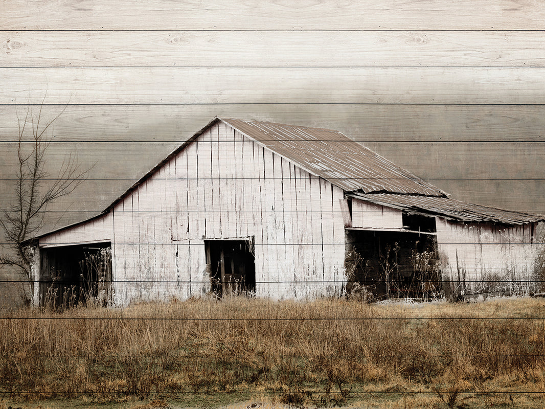 Skylight Barn in the Fog by Andy Amos | FineArtCanvas.com ...