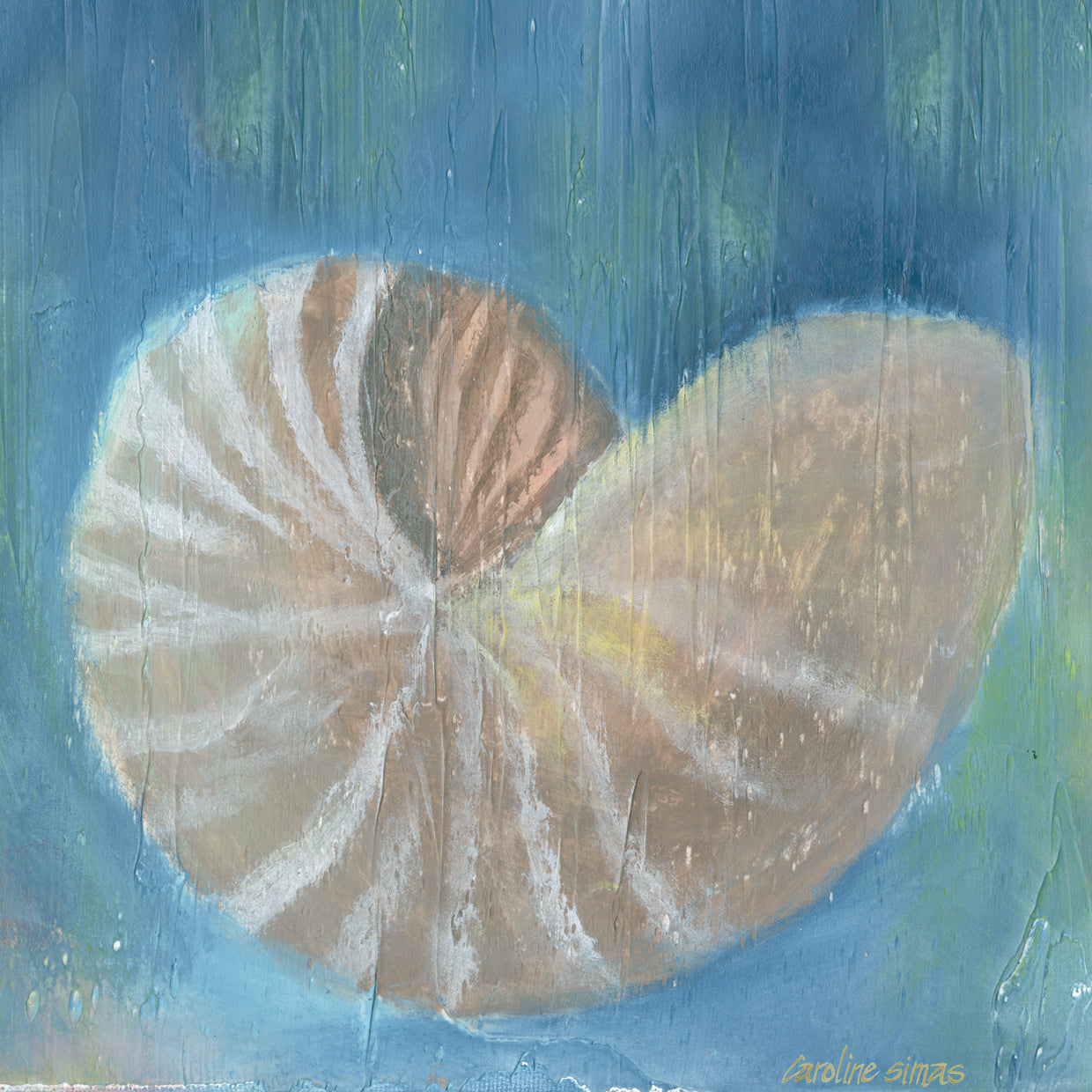Caroline Simas's Shell Study 1 Canvas Art Prints | Fine Art Canvas