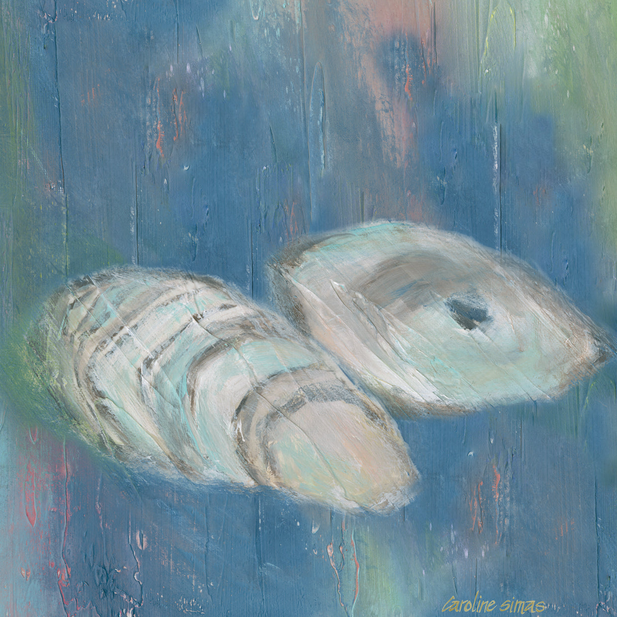 Shell Study 2 Wall Art by Caroline Simas | Fine Art Canvas