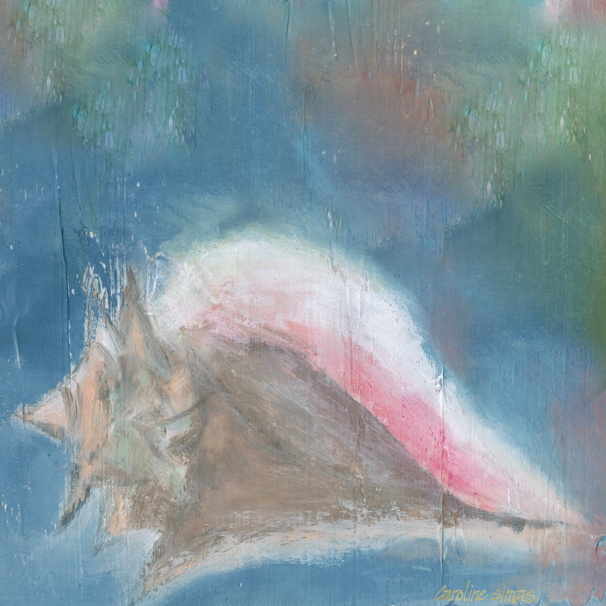 Shell Study 3 Wall Art by Caroline Simas | Fine Art Canvas