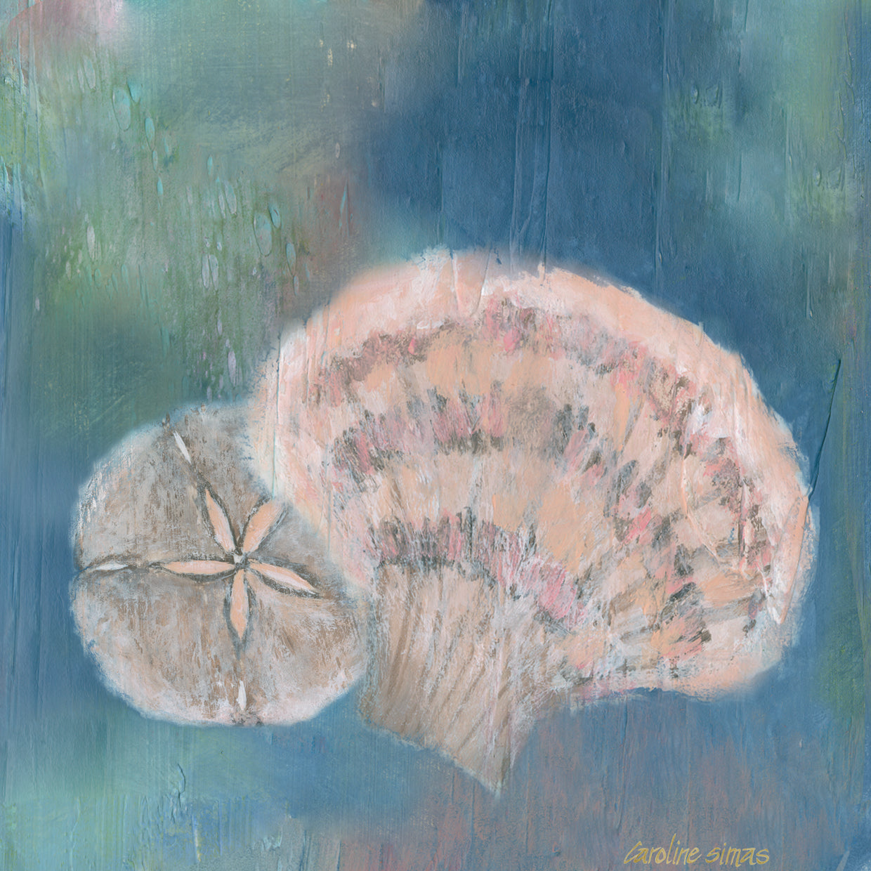 Shell Study 4 Wall Art by Caroline Simas | Fine Art Canvas