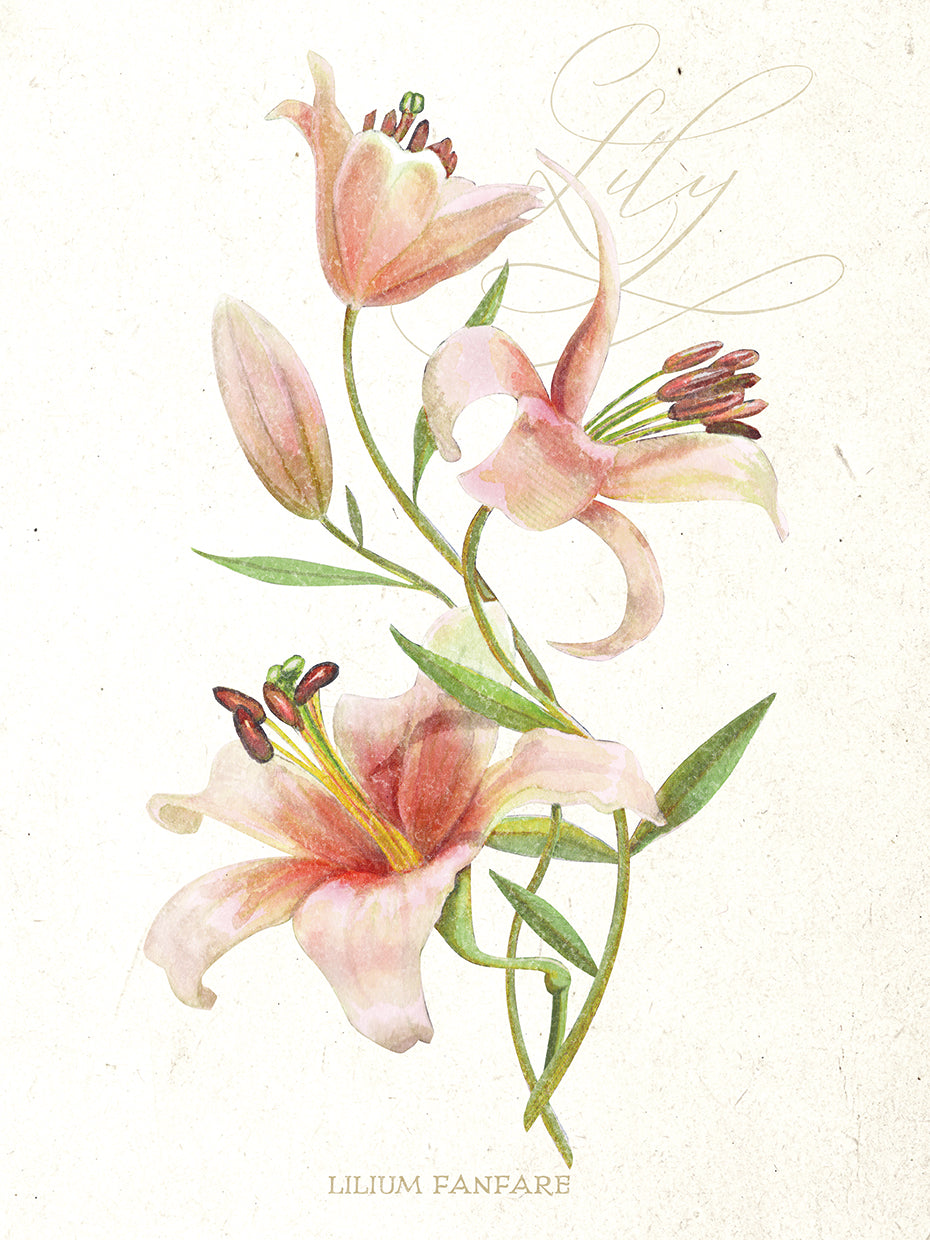 Lily Botanical Wall Art by Nicole Tamarin | Fine Art Canvas