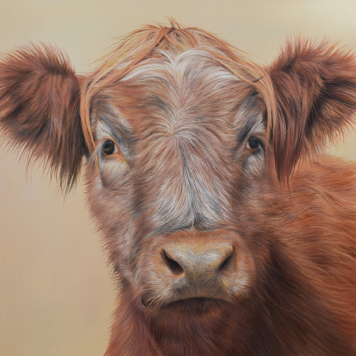 Aila Wall Art by Sam Dolman | Fine Art Canvas