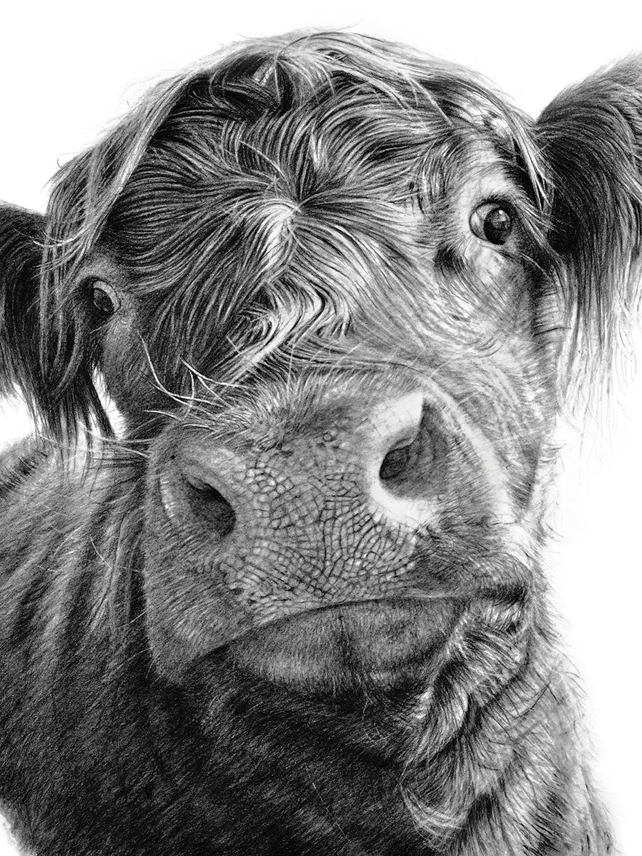 Brenda Wall Art by Sam Dolman | Fine Art Canvas