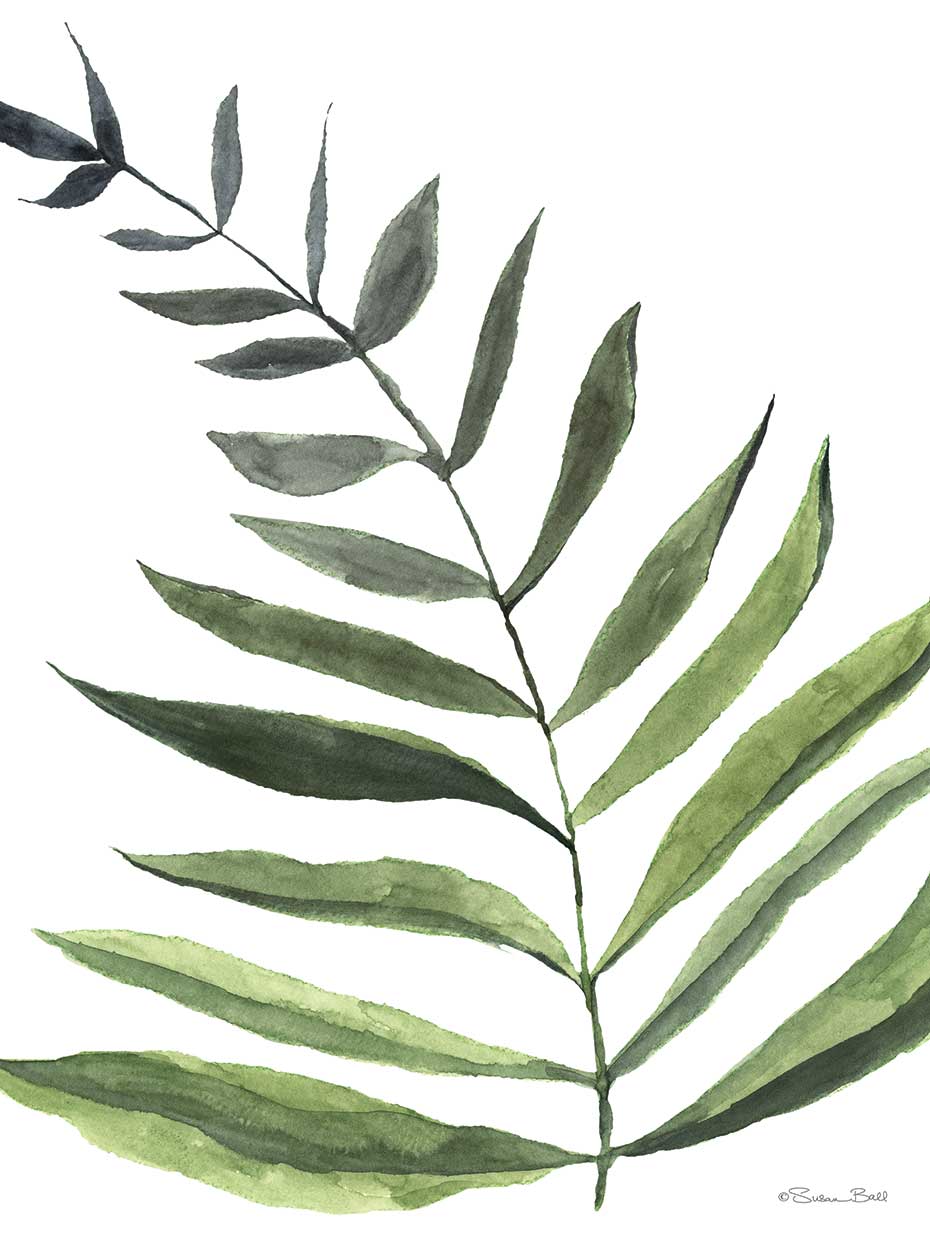 Fern 1 Wall Art by Susan Ball | Fine Art Canvas