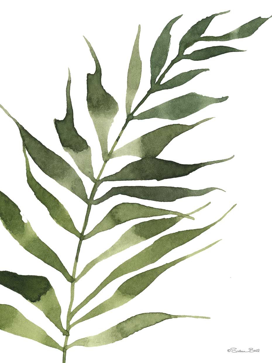 Susan Ball's Fern 2 Canvas Art Prints | Fine Art Canvas