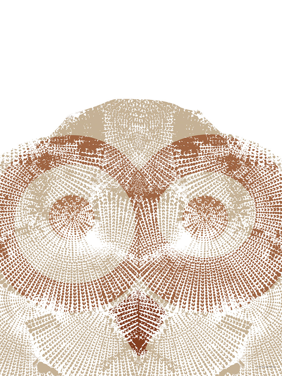 Who Knows Wall Art by Kamdon Kreations | Fine Art Canvas