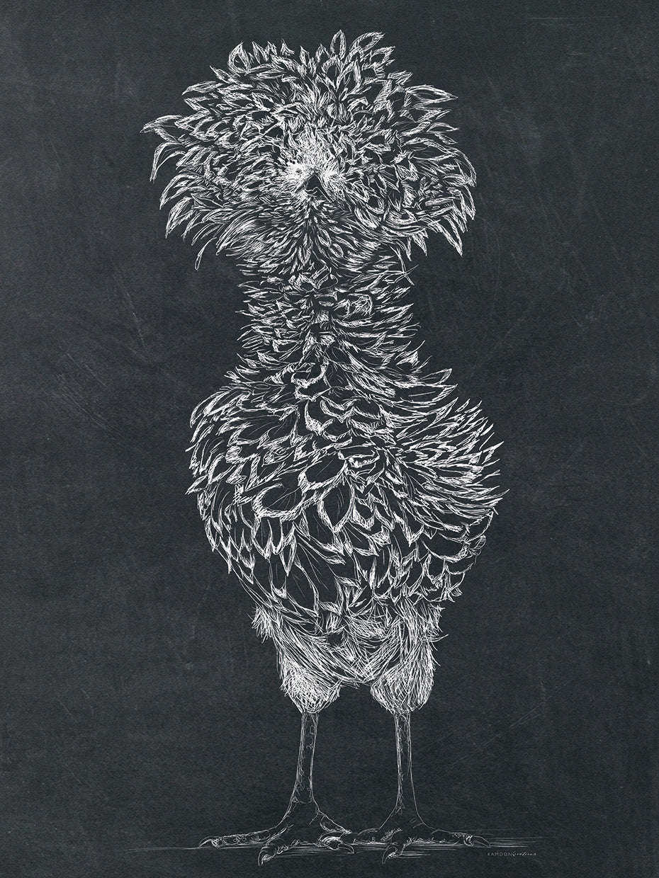 Poule de Houdan Wall Art by Kamdon Kreations | Fine Art Canvas