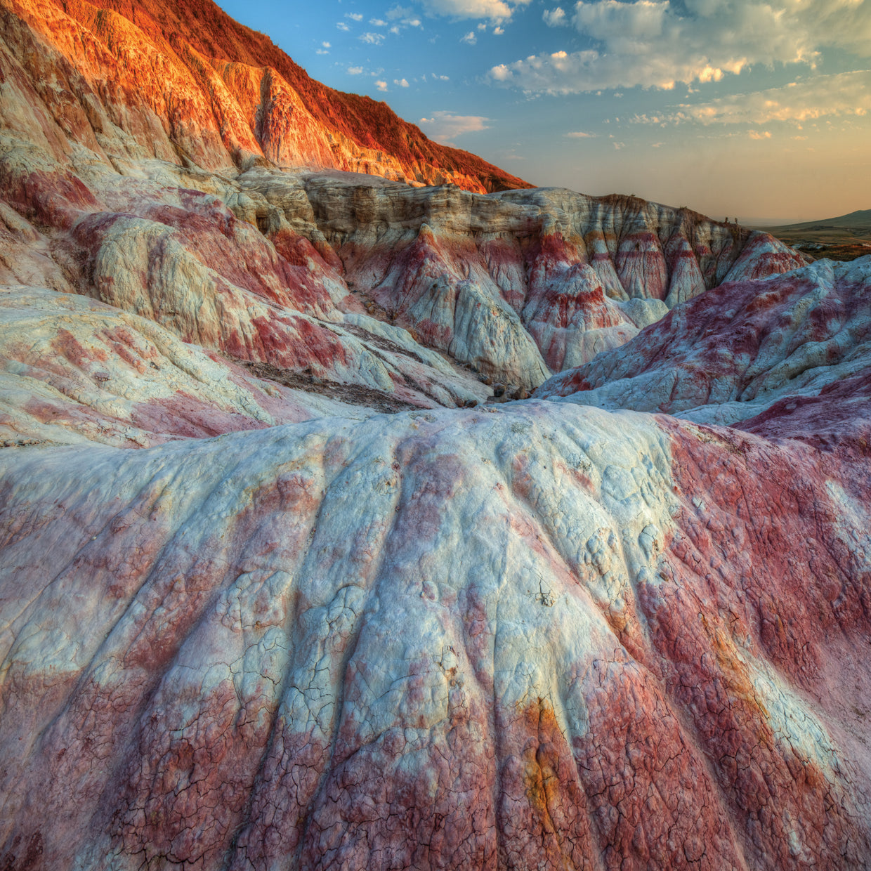 Bill Sherrell's Circular By Design Canvas Art Prints | Fine Art Canvas