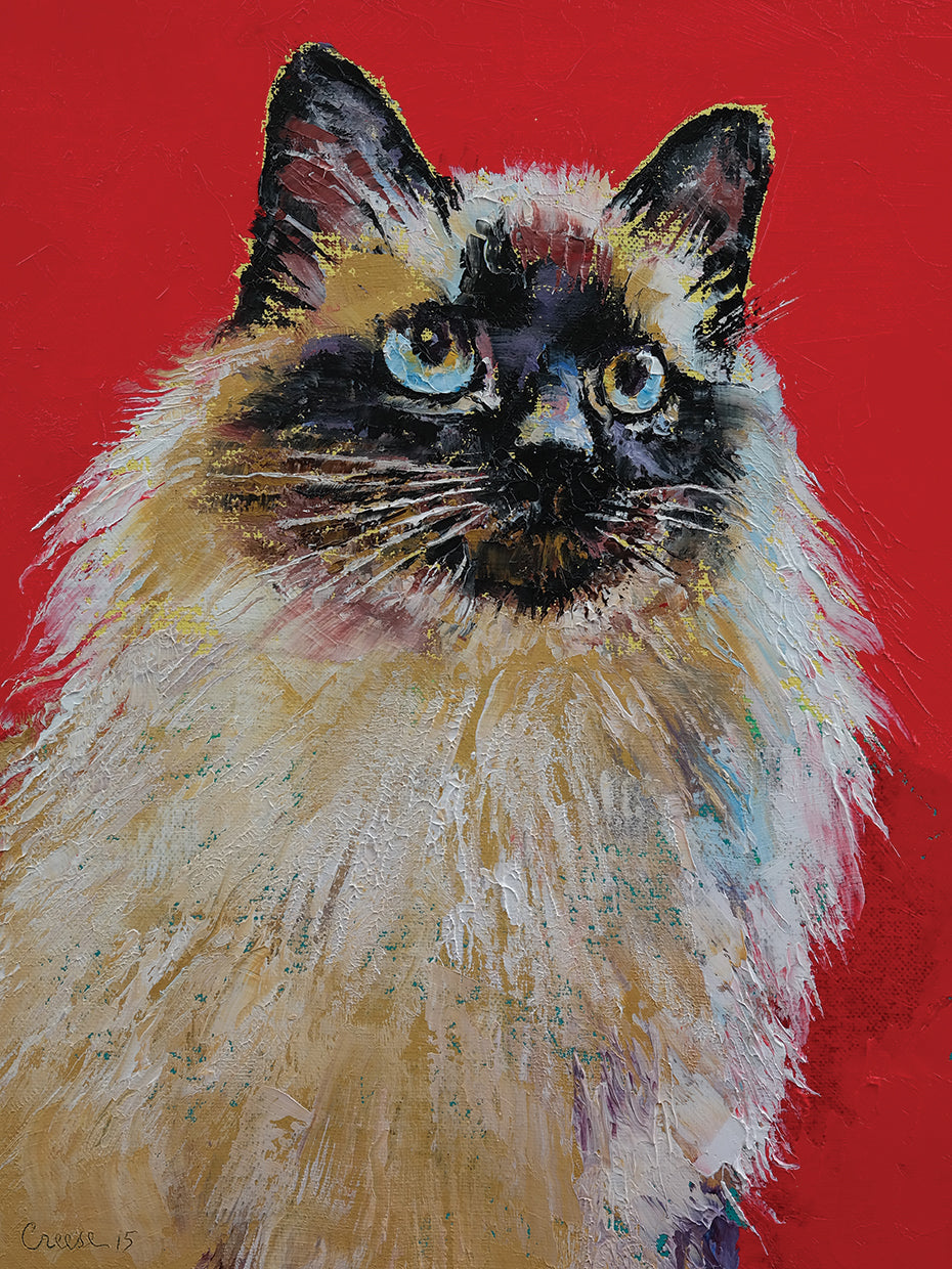 Siamese Cat Portrait Wall Art by Michael Creese | Fine Art Canvas