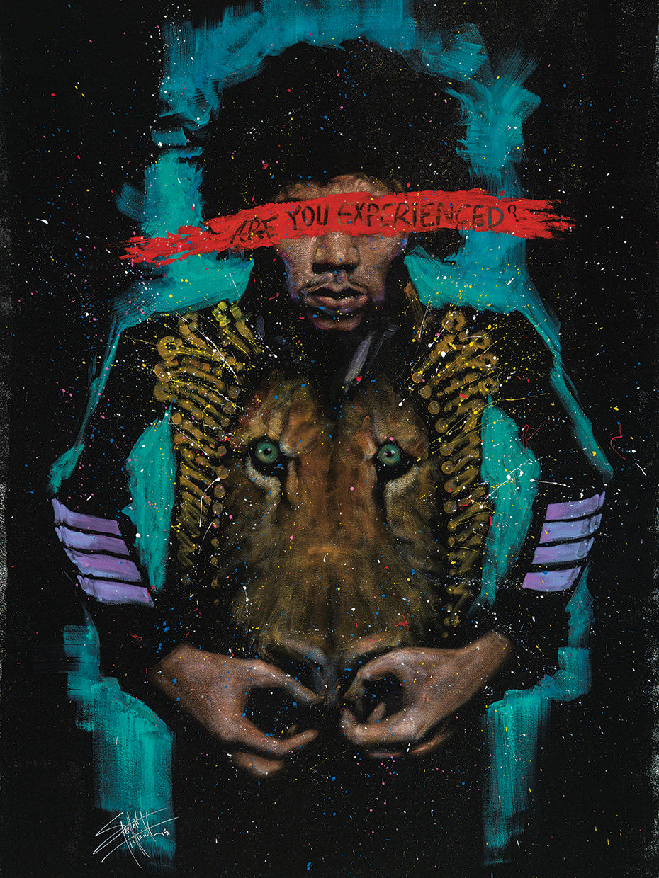 Stephen Fishwick's Jimi Hedrix - Are You Experienced Canvas Art Prints ...