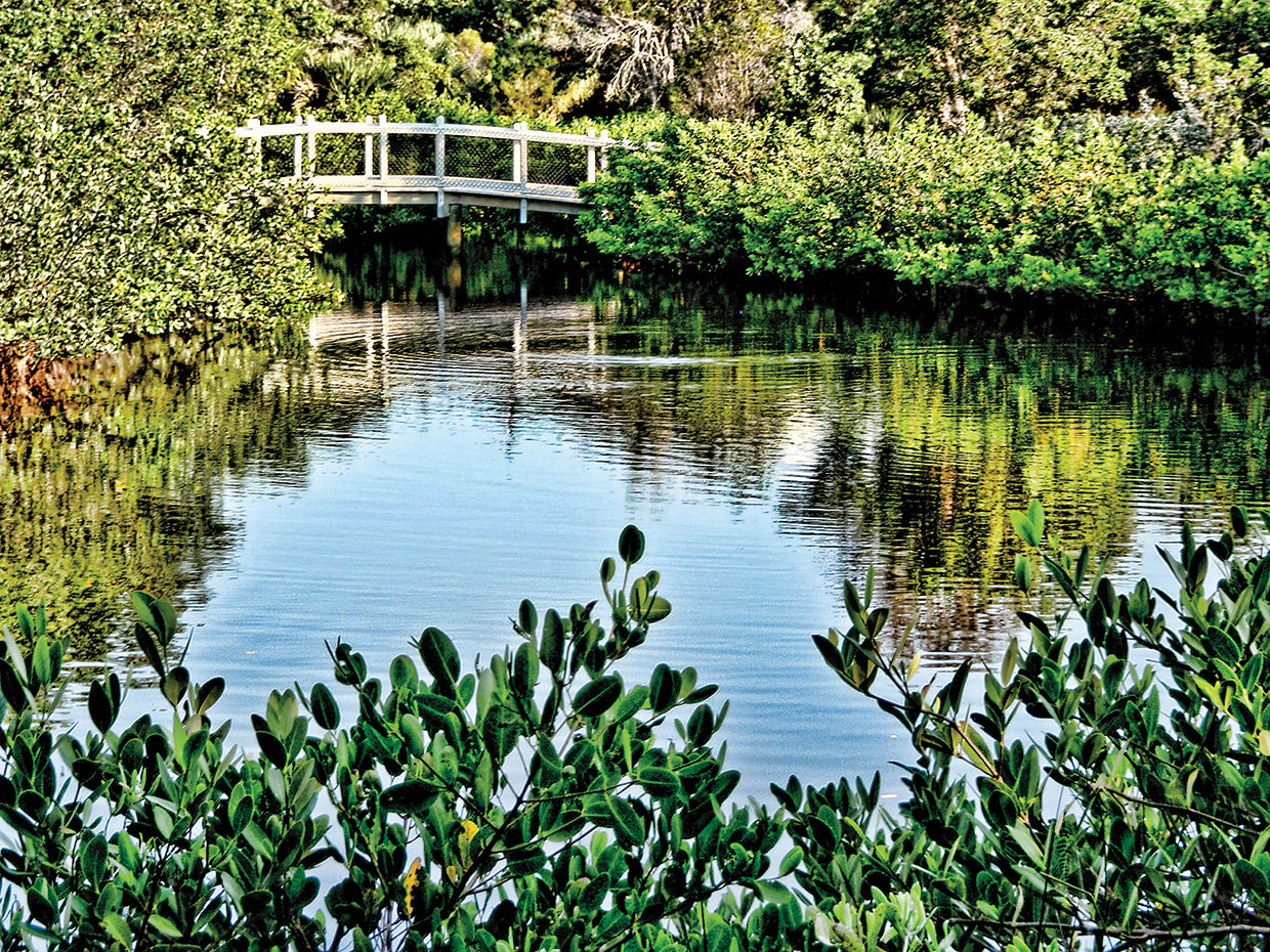 Little Bridge of Longboat Key Wall Art by Mary Lou Johnson | Fine Art ...